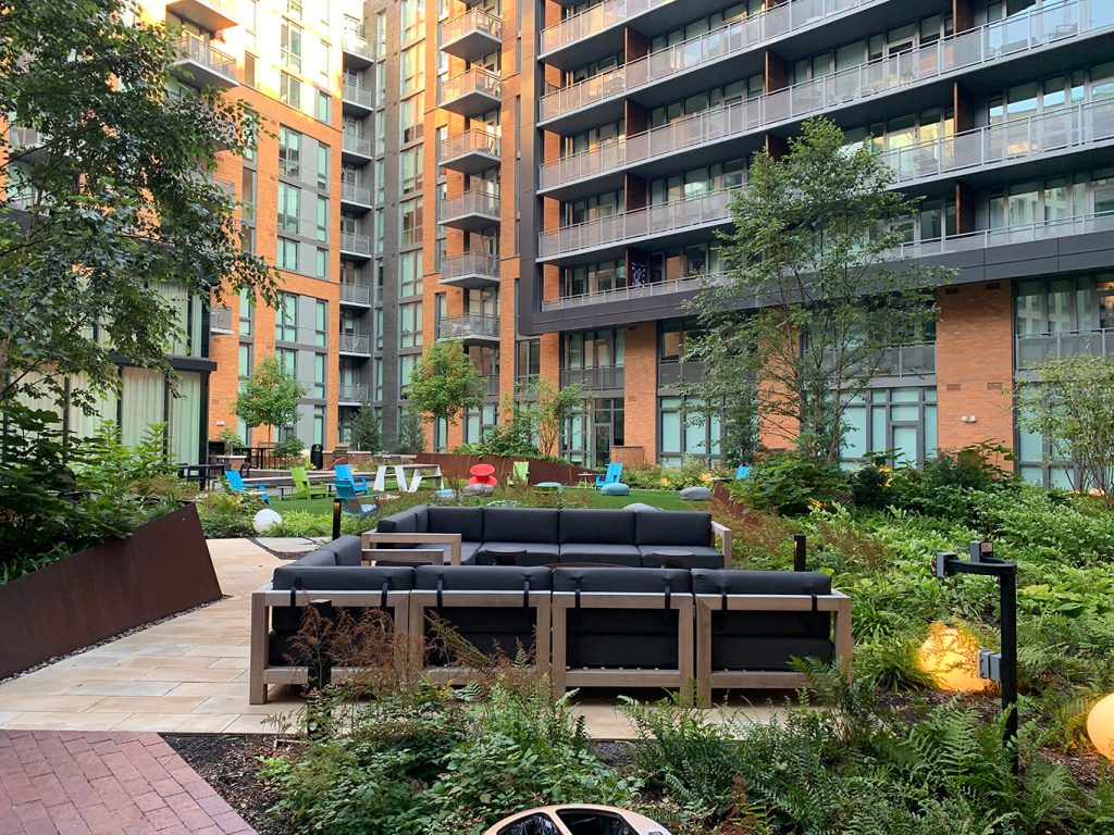 The Wren | John Moriarty & Associates